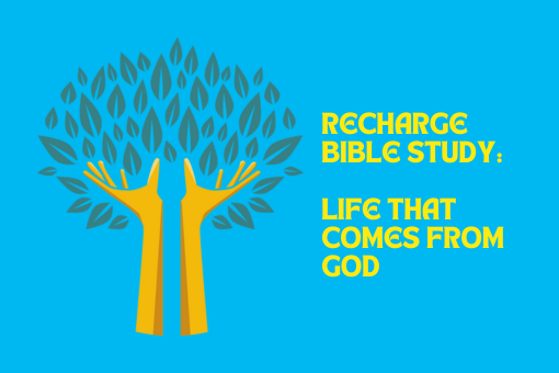 Recharge Bible study: Life that comes from God | Issues | NexGen