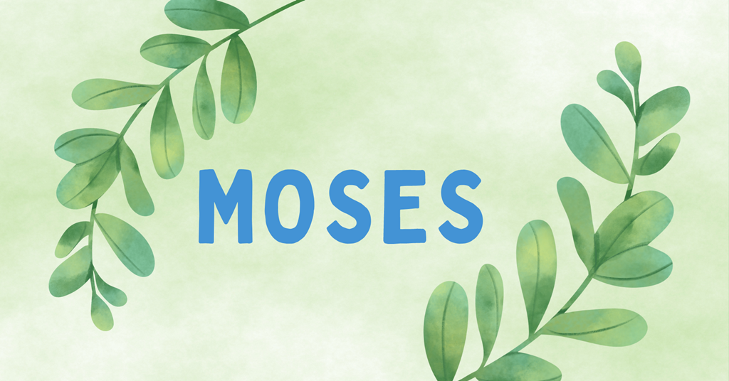 Moses: Session 1-4 | Article | NexGen
